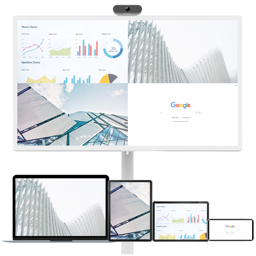 Eshare ShareMax (inc Lic) - Swosh Interactive Solutions